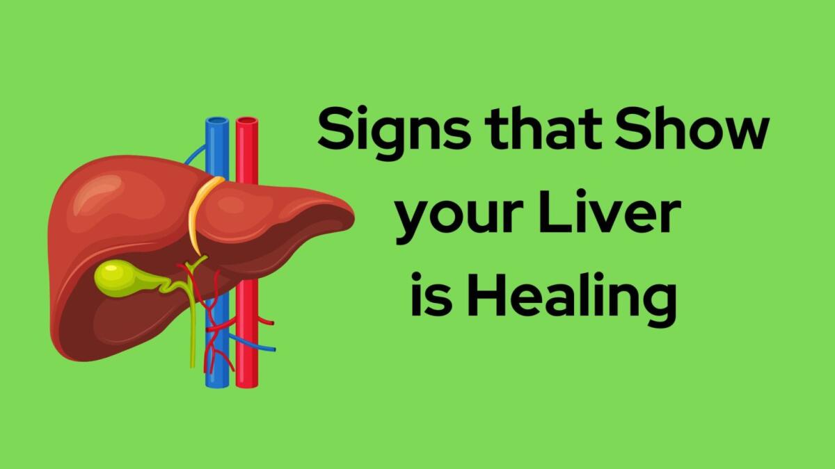 5 Signs Your Fatty Liver Is Healing and Regaining Its Health | QuillKi