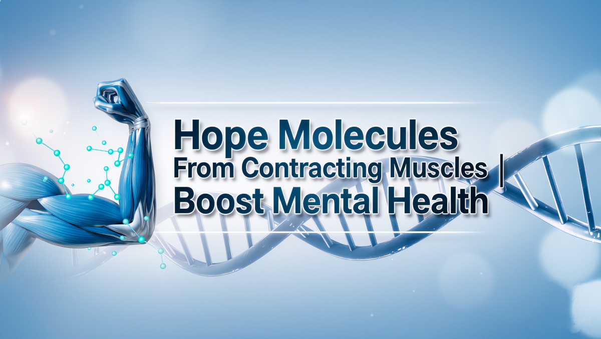 Hope Molecules From Contracting Muscles|Boost Mental Health | QuillKi